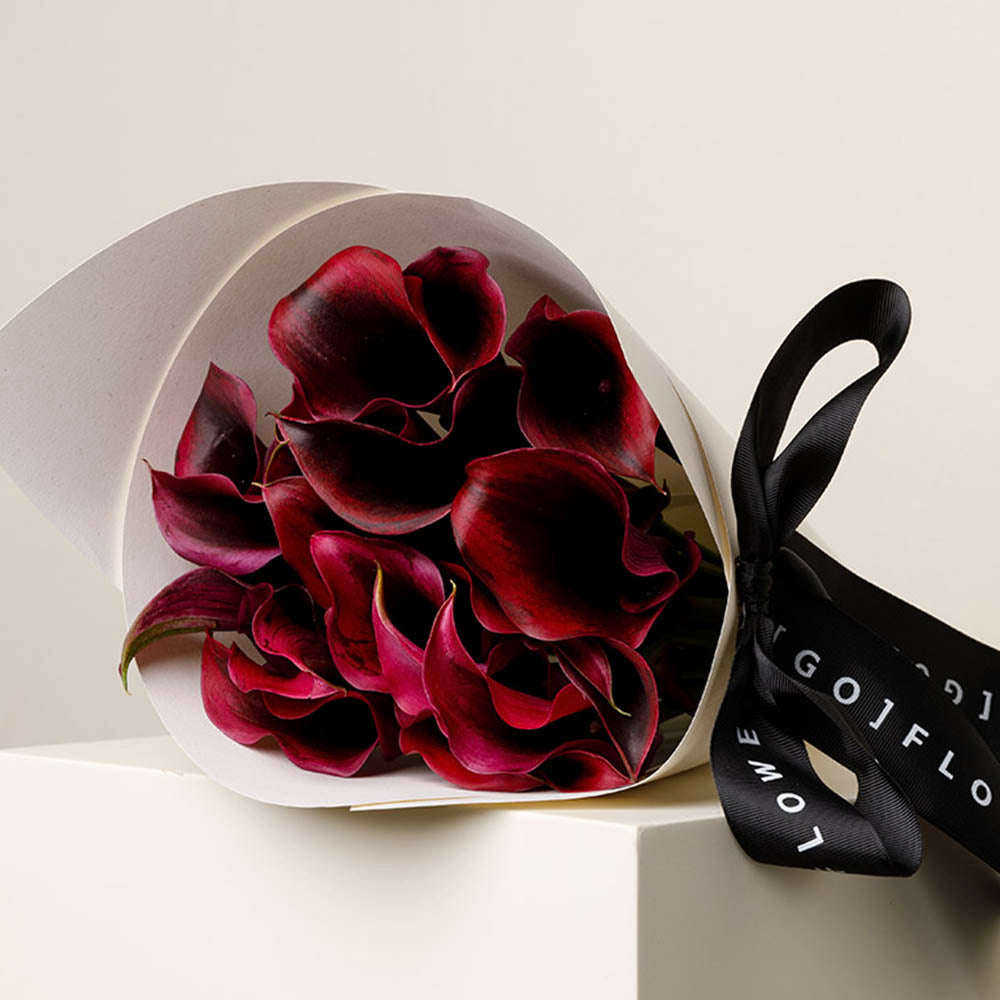 Midnight Calla Lily – GO FLOWER Midnight Calla Lily – GO FLOWER