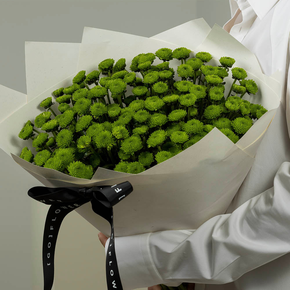 Chrysanthemum Mini Green – GO FLOWER